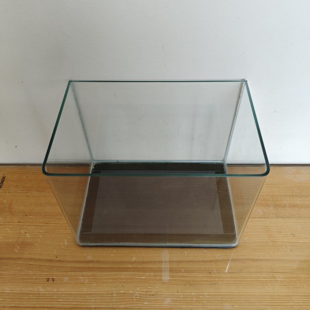 Used Fish / Tortoise / Turtle Glass Tank / Betta Aquarium (25.8 x 16.9 ...