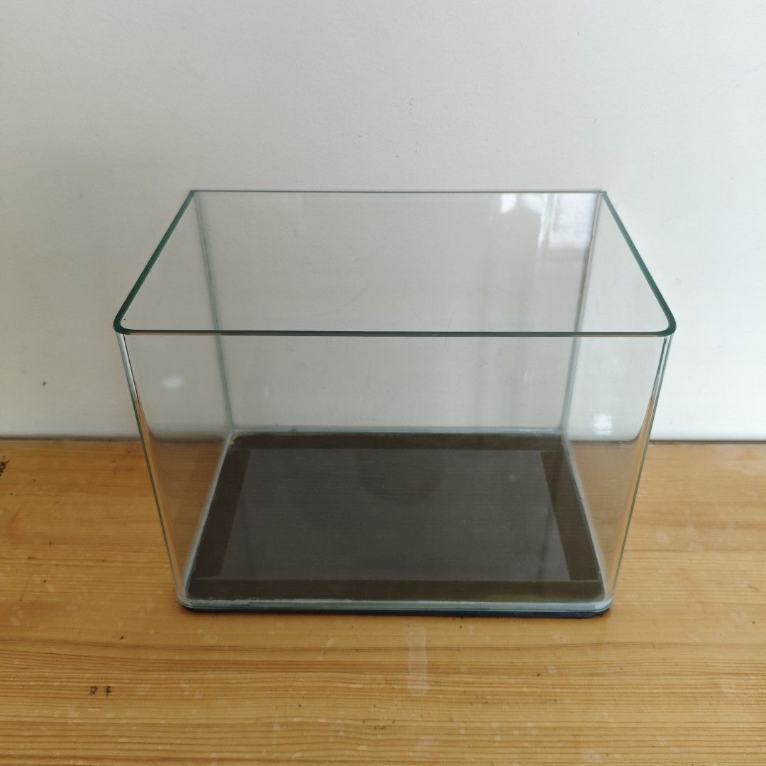 Used Fish / Tortoise / Turtle Glass Tank / Betta Aquarium (25.8 x 16.9 ...