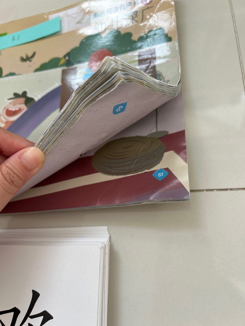 2024 K1 Berries full textbook + flash cards Set, Hobbies & Toys, Books ...