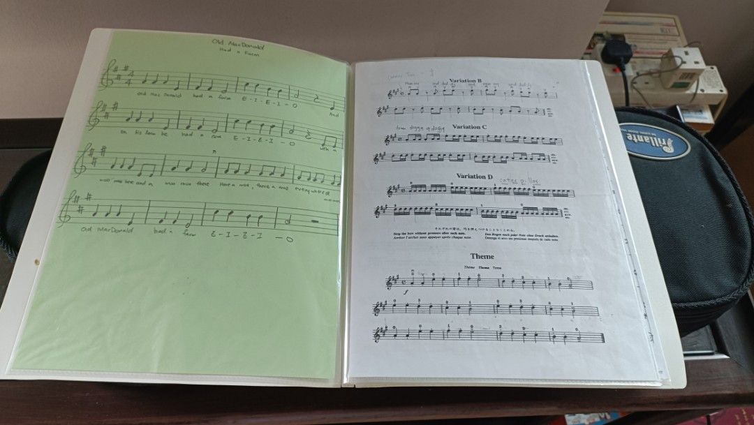 Beginner Violin with Case, Hobbies & Toys, Musical Instruments on Carousell