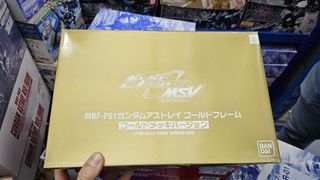 HG 1/100 [Gundam Seed 彩透特別版] Gundam Astray Red Frame, 興趣及遊戲, 玩具 & 遊戲類 ...