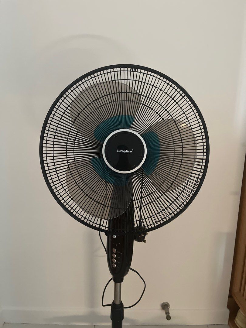 EuroAce Stand Fan, Furniture & Home Living, Lighting & Fans, Fans on ...
