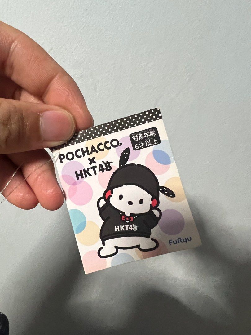 *EXCLUSIVE* Sanrio Pochacco X HKT48 Plush, Hobbies & Toys, Toys & Games ...