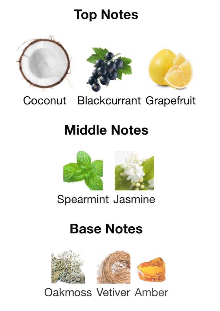 French Avenue Safari Breeze Extrait De Parfum, Beauty & Personal Care ...