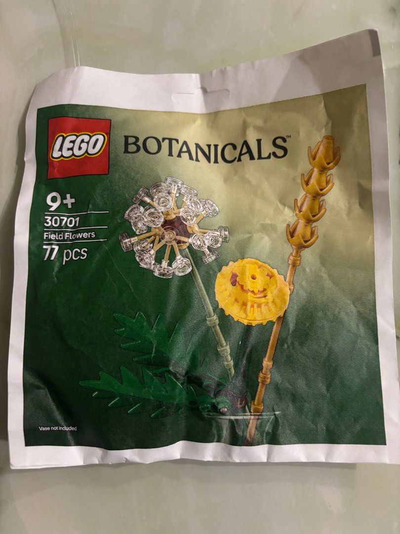 LEGO Botanicals 30701 Field Flowers Set, Hobbies & Toys, Toys & Games ...