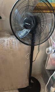 Standing Fan, Furniture & Home Living, Lighting & Fans, Fans on Carousell