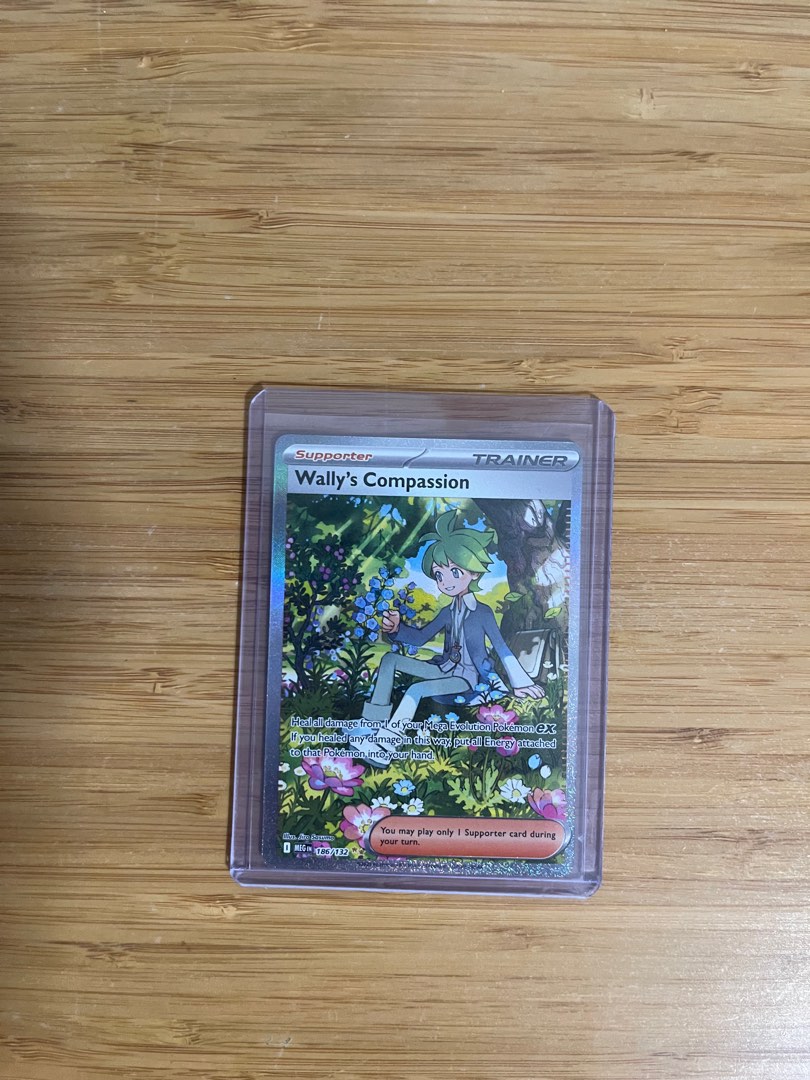 Wally's Compassion - Pokemon Trainer Card, Hobbies & Toys, Toys & Games ...