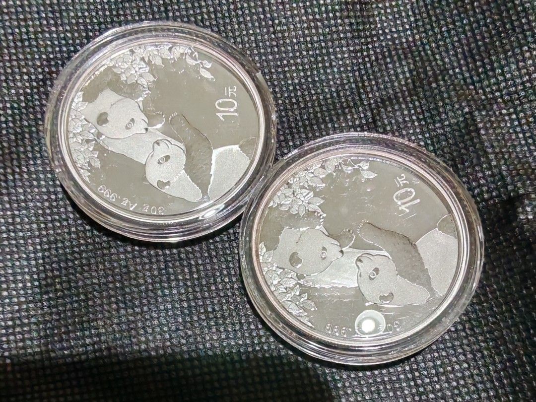 2023 Chinese Panda Silver Coins (30gms), Hobbies & Toys, Memorabilia ...