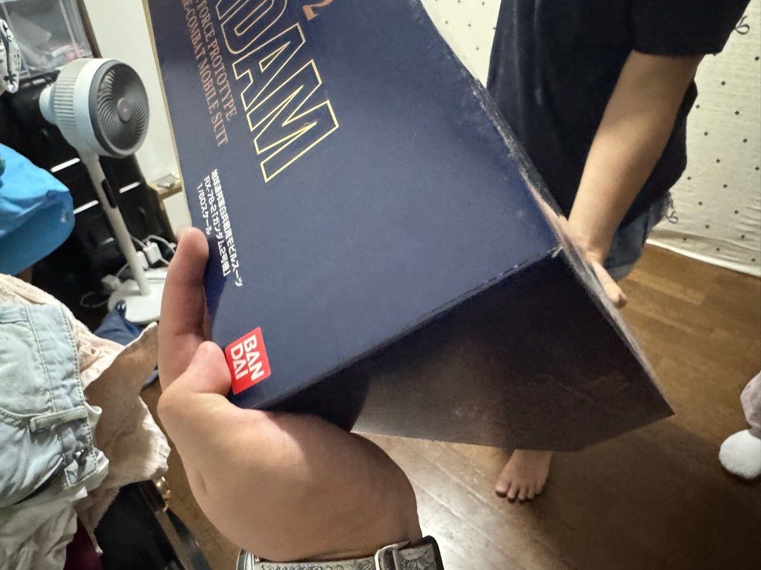 Bandai Perfect Grade RX-78-2 Gundam Model Kit, Hobbies & Toys, Toys ...