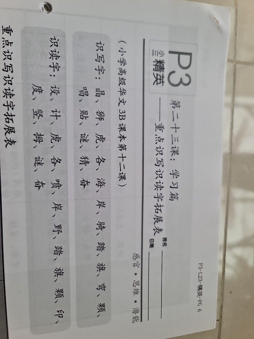 Berries P3 高华 Elite Chinese Notes Worksheets, Hobbies & Toys, Books ...