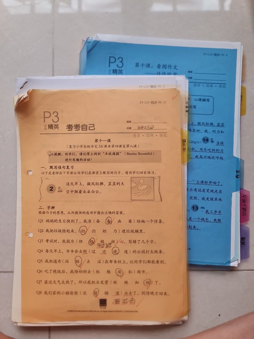 Berries P3 高华 Elite Chinese Notes Worksheets, Hobbies & Toys, Books ...