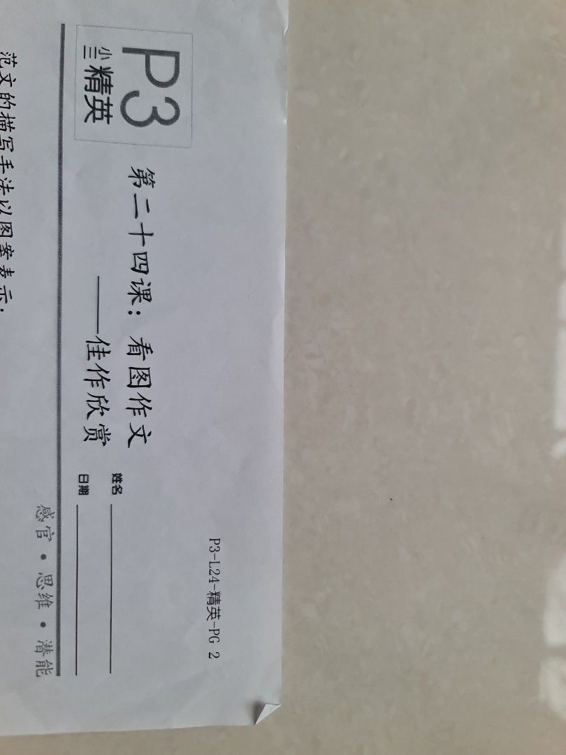 Berries P3 高华 Elite Chinese Notes Worksheets, Hobbies & Toys, Books ...