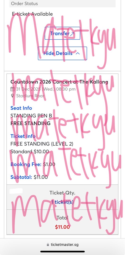 Countdown 2026 Concert Ticket - Free Standing, Tickets & Vouchers ...