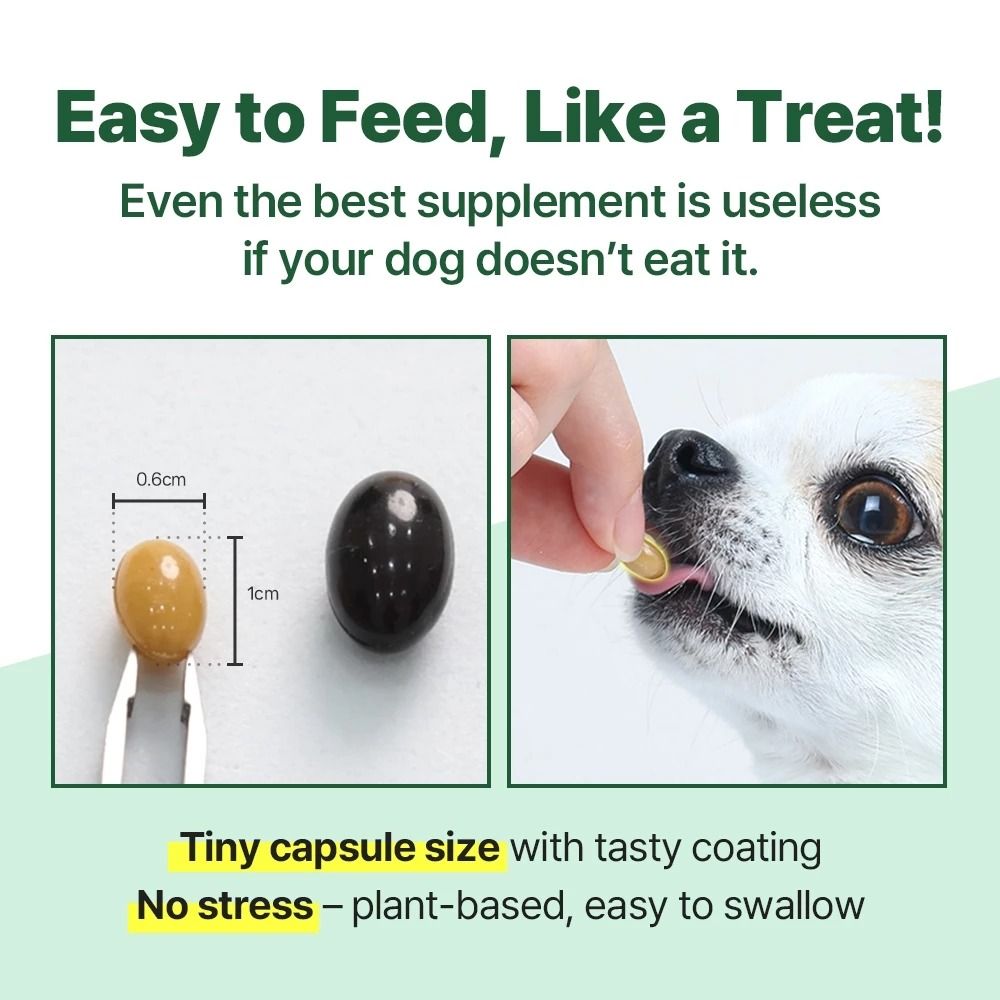 Dog Joint Supplement Hip Knee Mobility Leg Support Bone Health Care ...