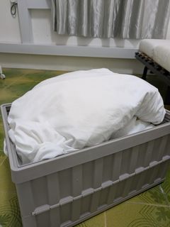 FOC Childsafe, Petsafe Bed bugs, Lice, Fleas, Lice Spray (almost new ...