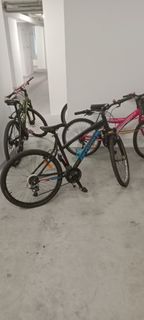 Mountain Bike - Black, Sports Equipment, Bicycles & Parts, Bicycles on ...