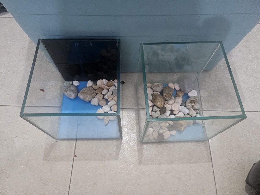 Aquariums and Breeding Box for FREE, Pet Supplies, Homes & Other Pet ...