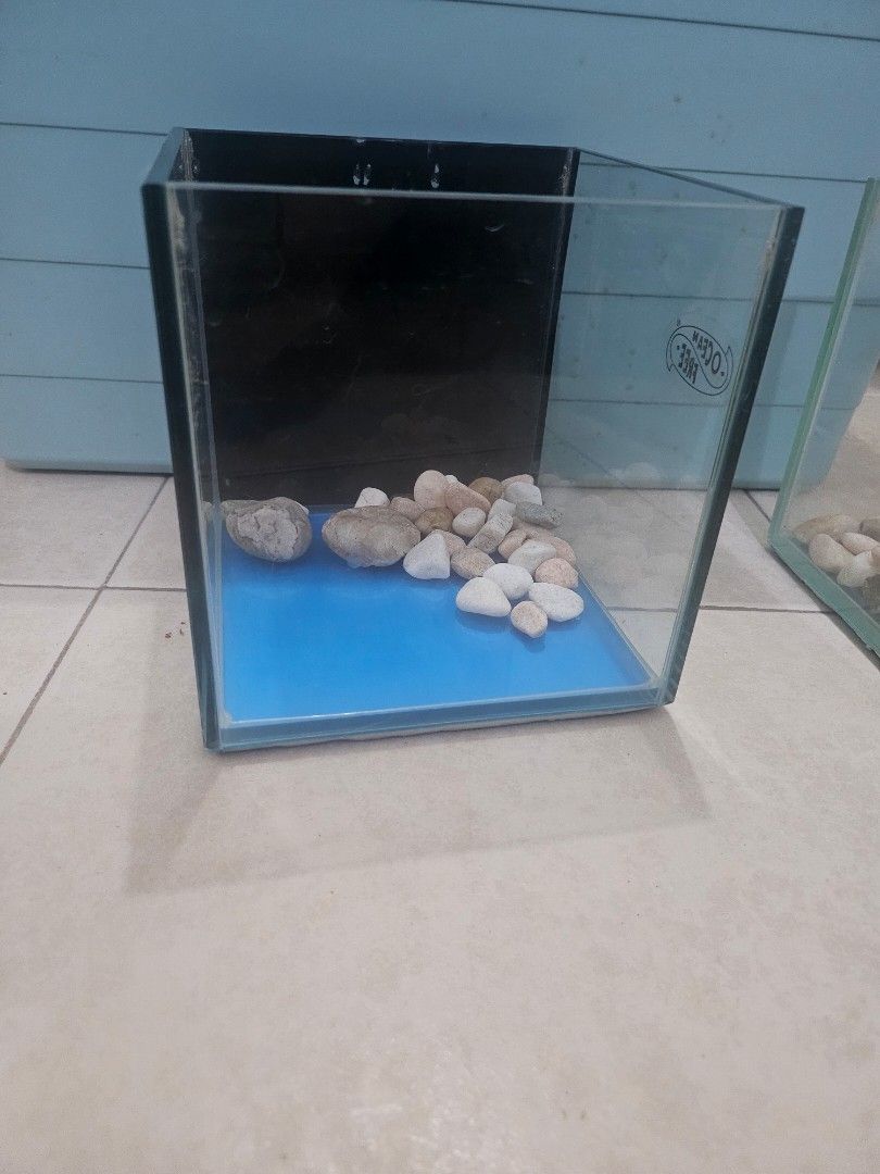 Aquariums and Breeding Box for FREE, Pet Supplies, Homes & Other Pet ...