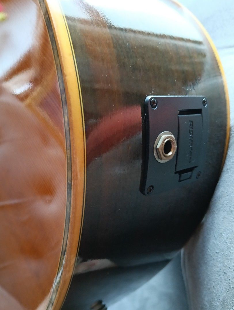 Washburn WD25SCE Acoustic Electric Guitar with Fishman Pickup. Rtp $850 ...