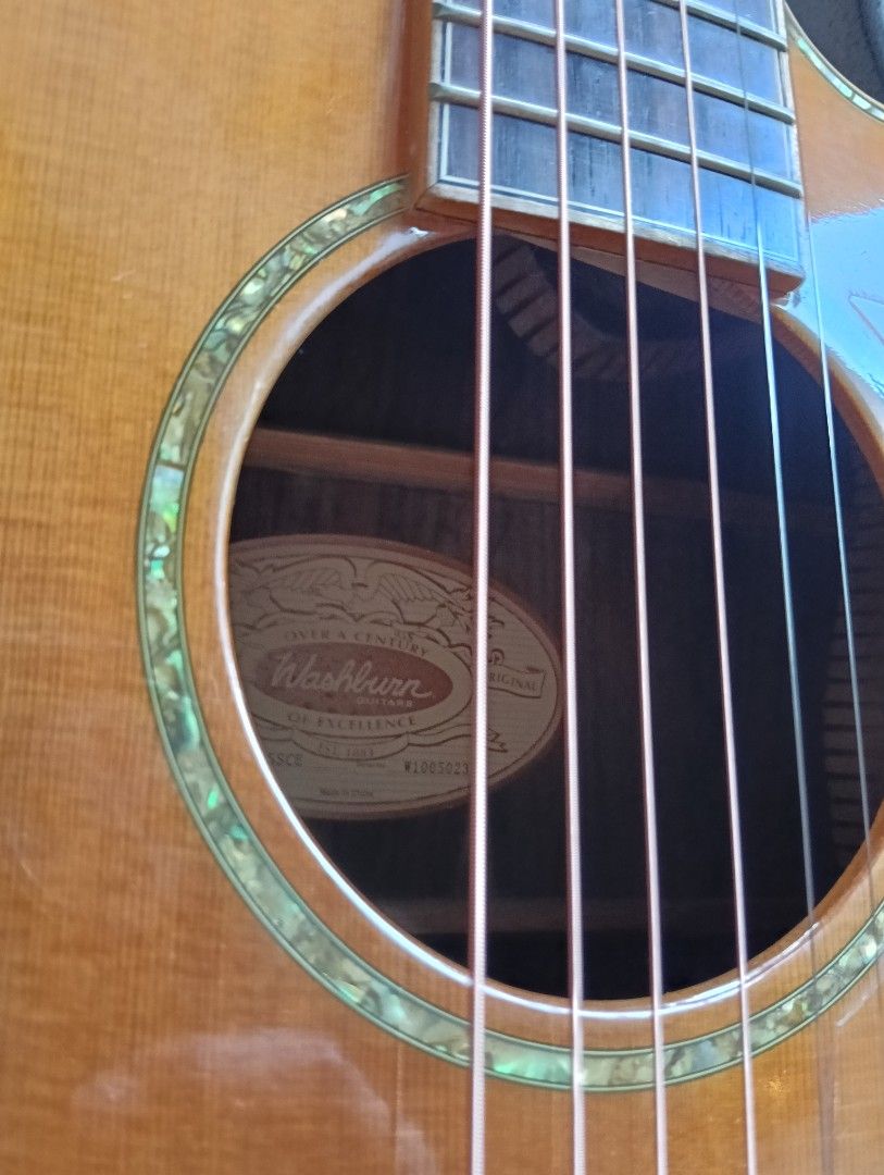Washburn WD25SCE Acoustic Electric Guitar with Fishman Pickup. Rtp $850 ...