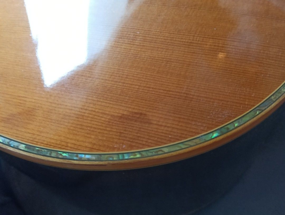 Washburn WD25SCE Acoustic Electric Guitar with Fishman Pickup. Rtp $850 ...