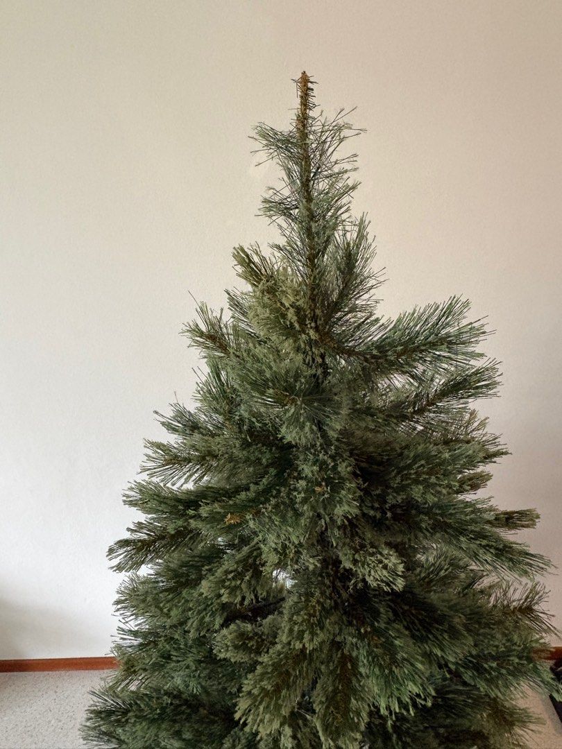 6 ft realistic christmas tree, Furniture & Home Living, Home Decor ...