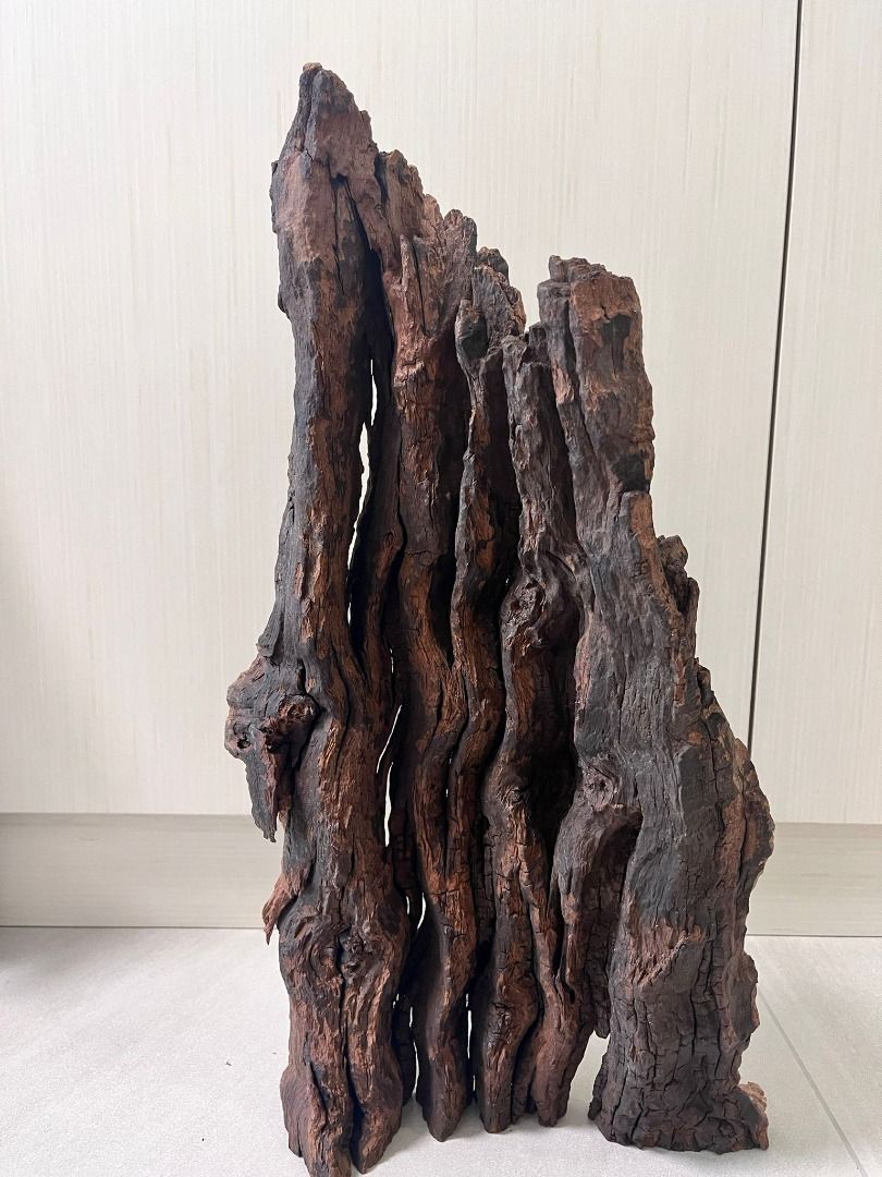 Aquarium Driftwood Fish Tank Discus Altum Pleco Tetra Corydoras Orchid ...