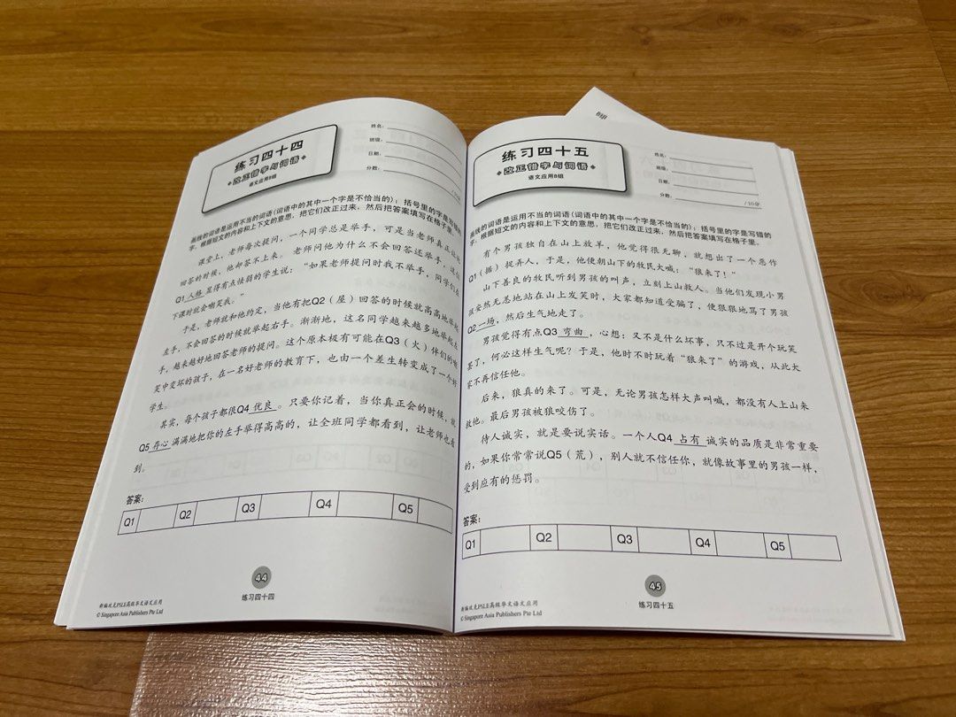 Conquer PSLE Higher Chinese Language Vocabulary, Hobbies & Toys, Books ...