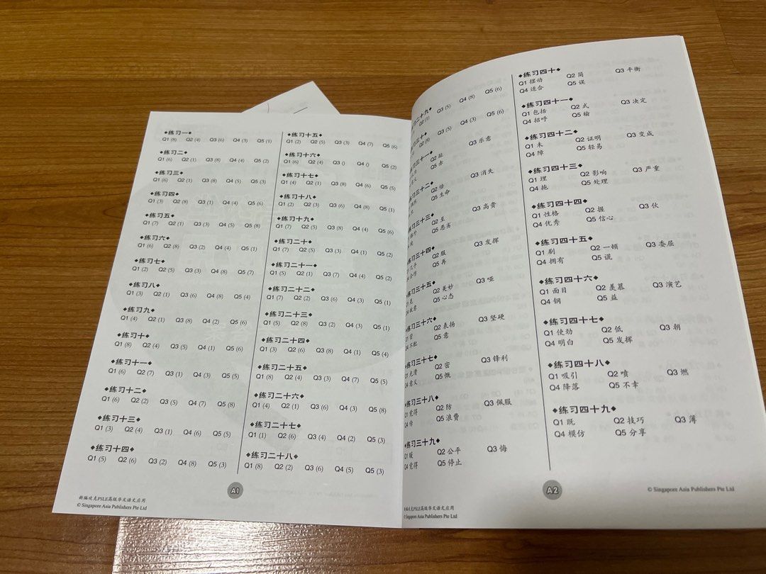 Conquer PSLE Higher Chinese Language Vocabulary, Hobbies & Toys, Books ...