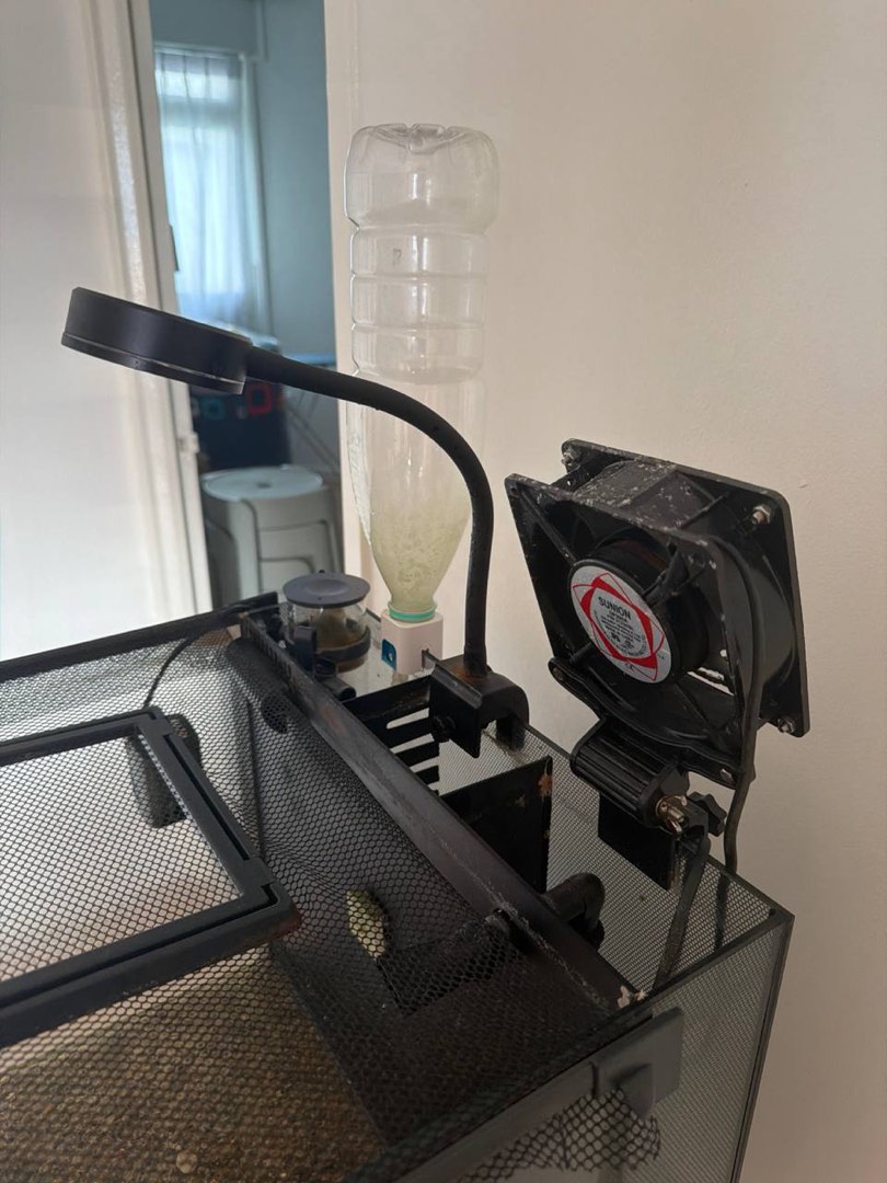 Curved Glass Aquarium with Accessories, Pet Supplies, Homes & Other Pet ...