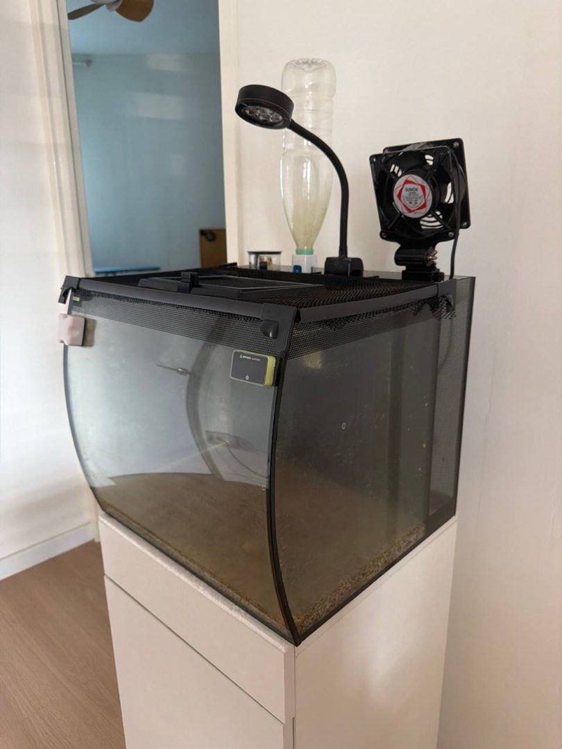 Curved Glass Aquarium with Accessories, Pet Supplies, Homes & Other Pet ...