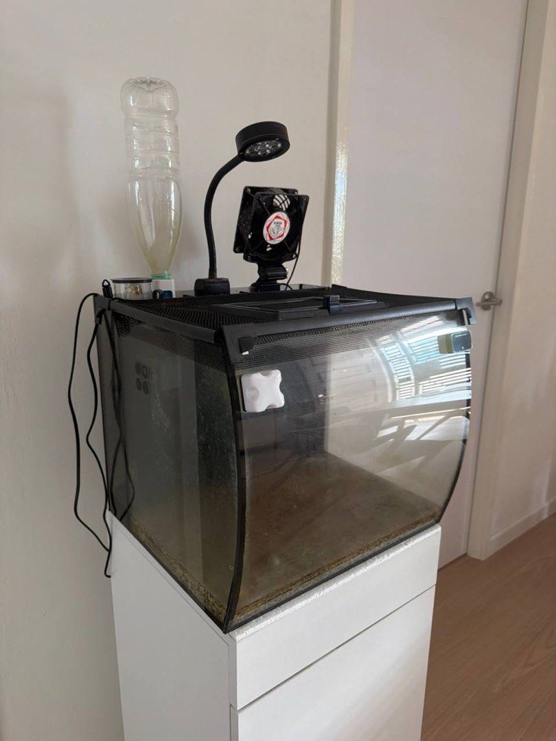 Curved Glass Aquarium with Accessories, Pet Supplies, Homes & Other Pet ...