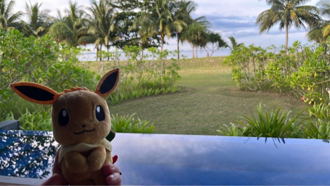 Lost: Missing Eevee (Pokemon) Plushie near Bedok MRT, Hobbies & Toys ...