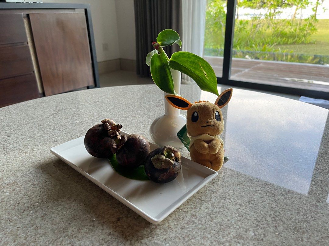 Lost: Missing Eevee (Pokemon) Plushie near Bedok MRT, Hobbies & Toys ...