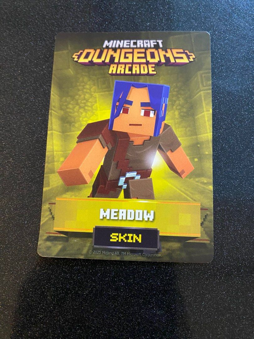 Minecraft Dungeons Arcade Meadow, Hobbies & Toys, Toys & Games on Carousell