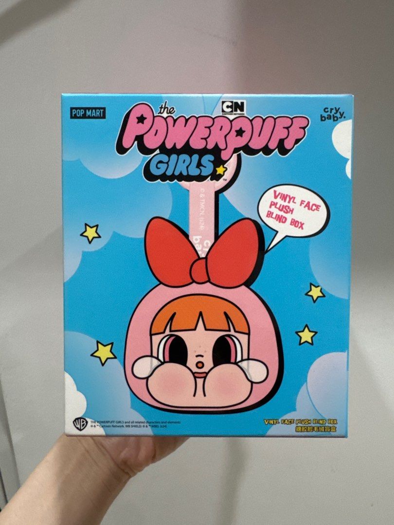 Pop Mart x Powerpuff Girls Blossom Plush Blind Box, Hobbies & Toys ...
