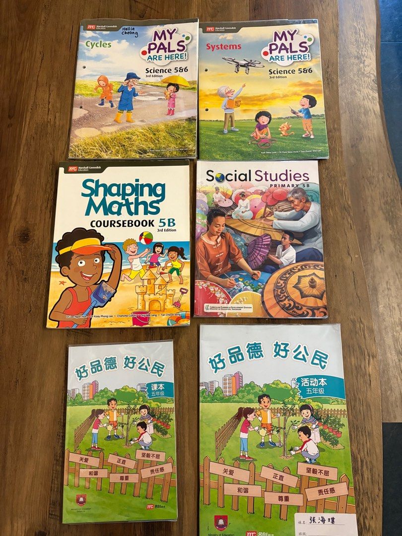 Primary 5 Textbooks - Science, Maths, Chinese, Social Studies, Hobbies ...