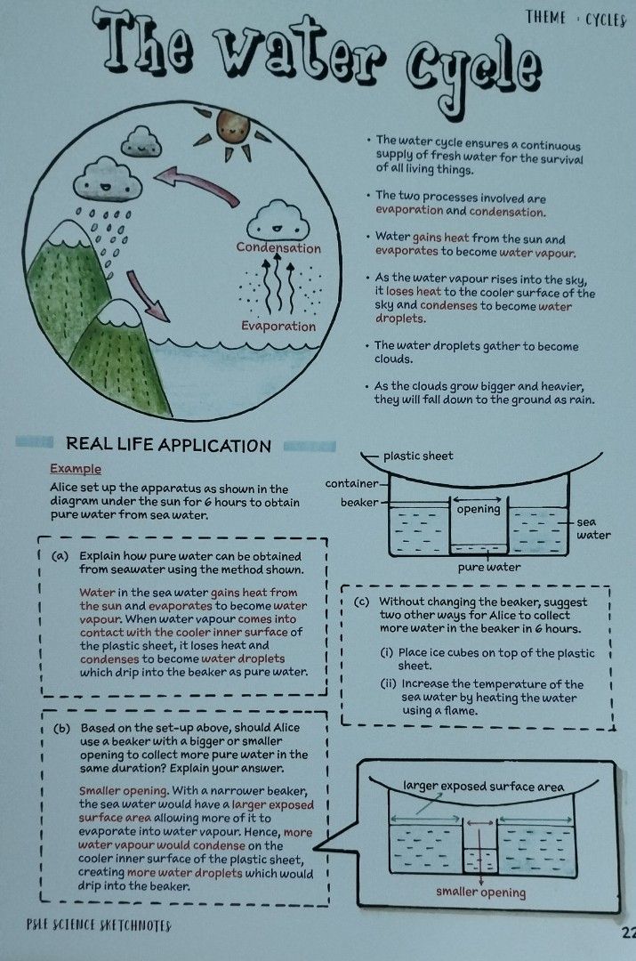 PSLE Science Sketchnotes 2nd Edition, Hobbies & Toys, Books & Magazines ...
