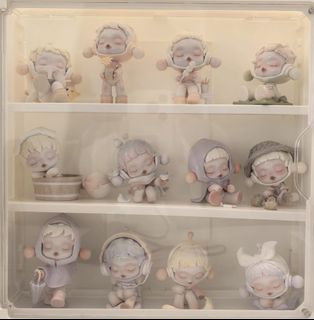 Skull panda Blind Box, Hobbies & Toys, Toys & Games on Carousell