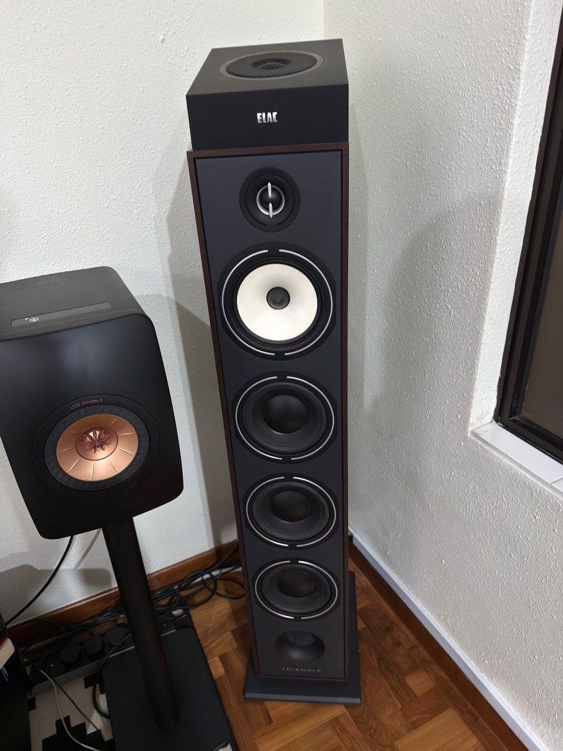 Triangle Borea BR09 Floorstanding Speakers (Excellent Condition), Audio ...