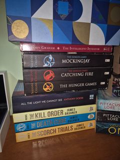 Various Books - Brotherband, The Finisher, The Lost City, Winter ...