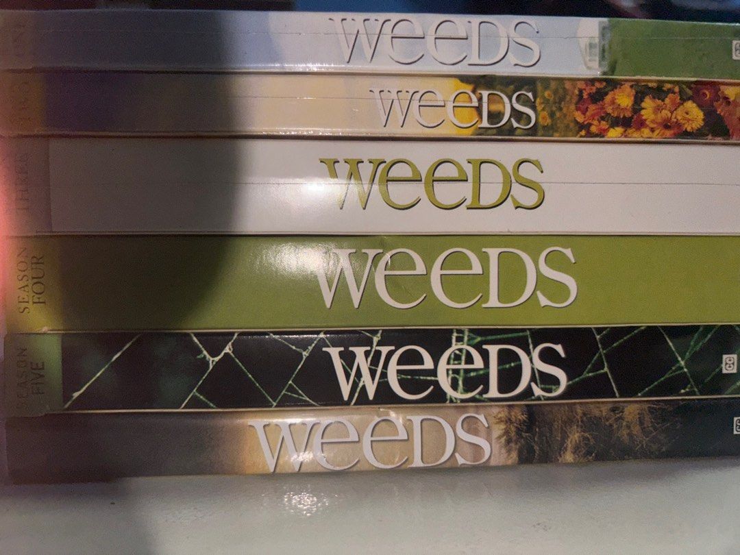 Weeds Seasons 1-6 DVD Box Set, Hobbies & Toys, Music & Media, CDs ...