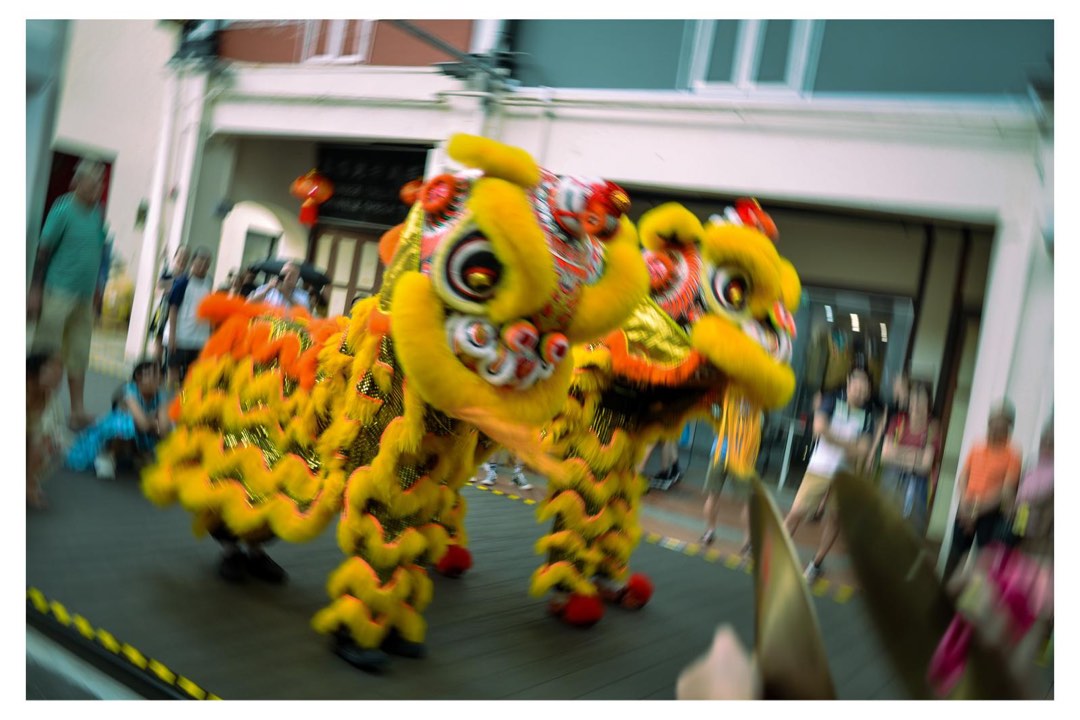 Lion dance 2026 CNY Performance , Lifestyle Services, Event & Party ...