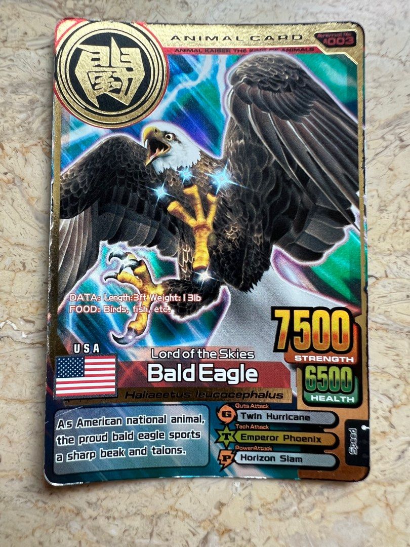 Animal Kaiser Bald Eagle Trading Card, Hobbies & Toys, Toys & Games on ...