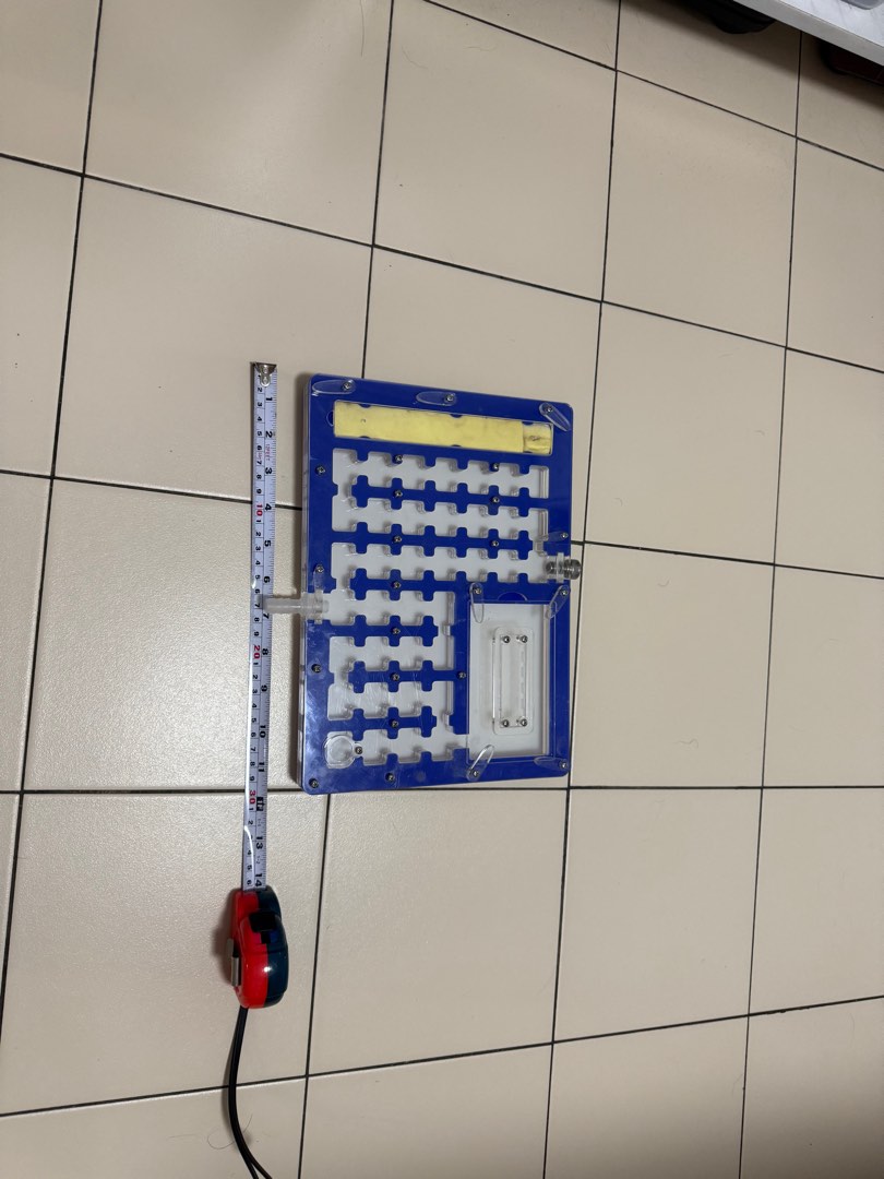 Ant Formicarium, Pet Supplies, Homes & Other Pet Accessories on Carousell