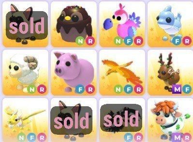 adopt me BUNNY SWIRL IM BUYING! ( NOT SELLING ) check description to ...