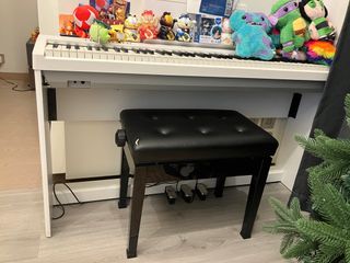 Roland FP-10 數碼鋼琴 DIGITAL PIANO 88KEYS roland fp10 piano, 興趣及遊戲, 音樂、樂器 ...