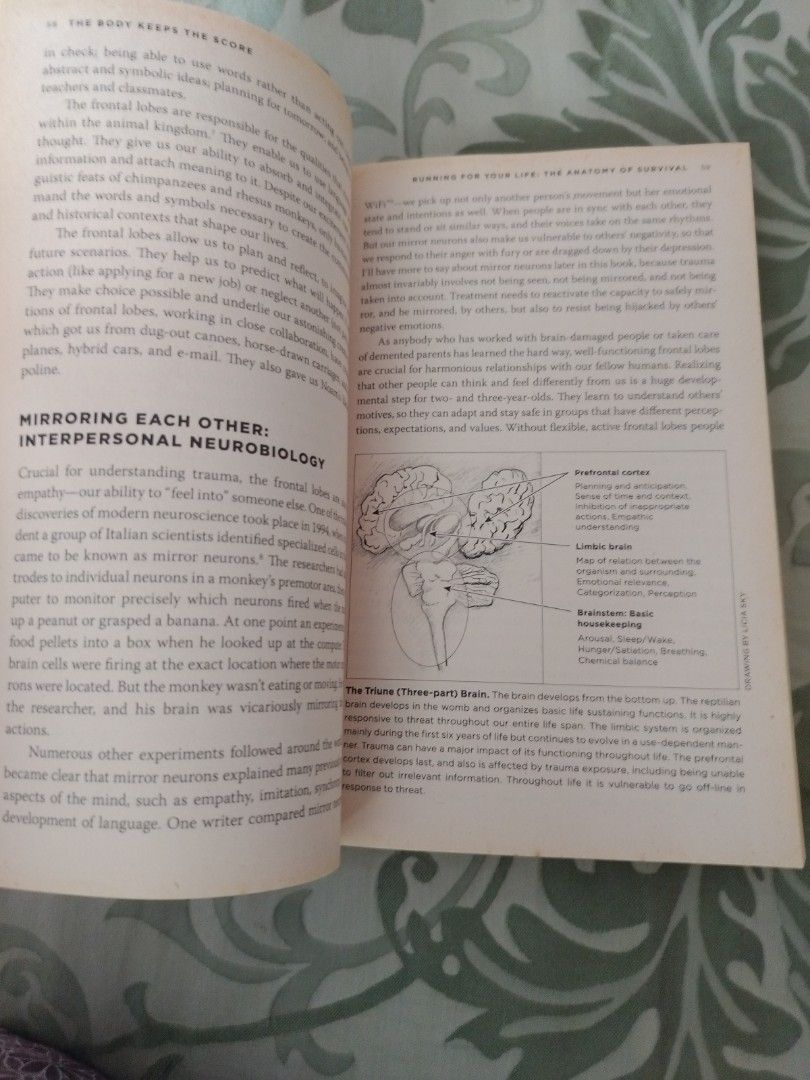 The Body Keeps the Score: Brain, Mind, and Body, Hobbies & Toys, Books ...