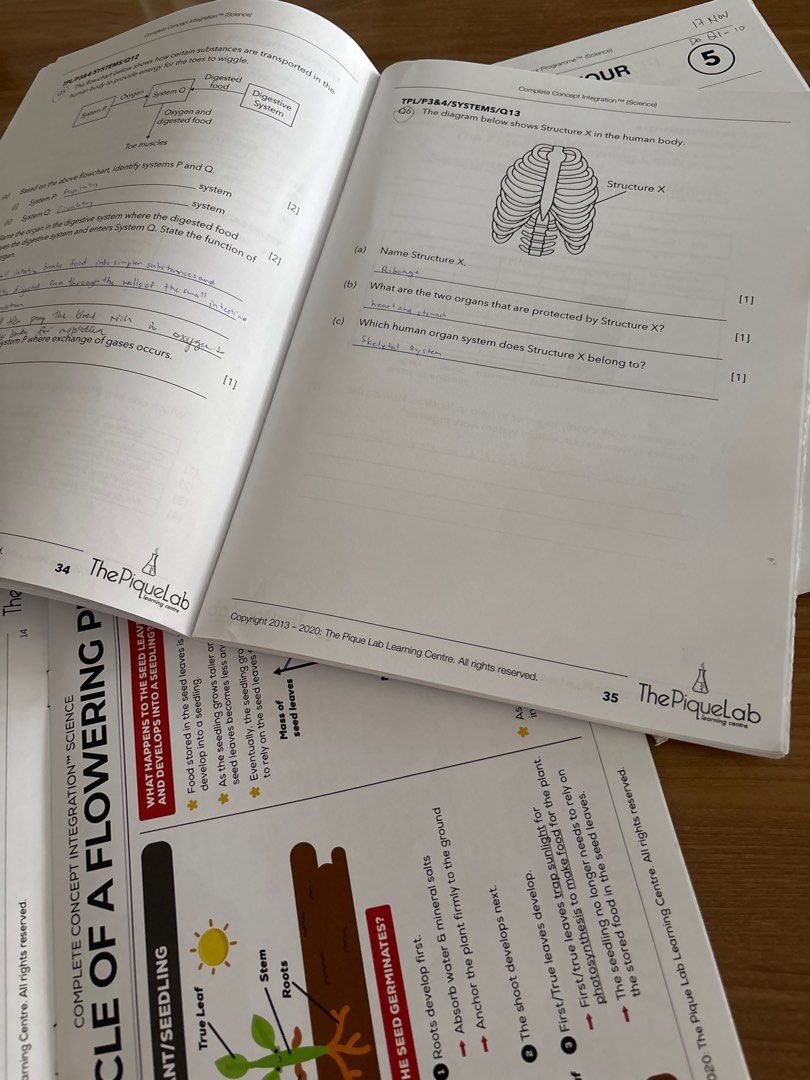 The Pique Lab Primary 4 Science Workbooks, Hobbies & Toys, Books ...