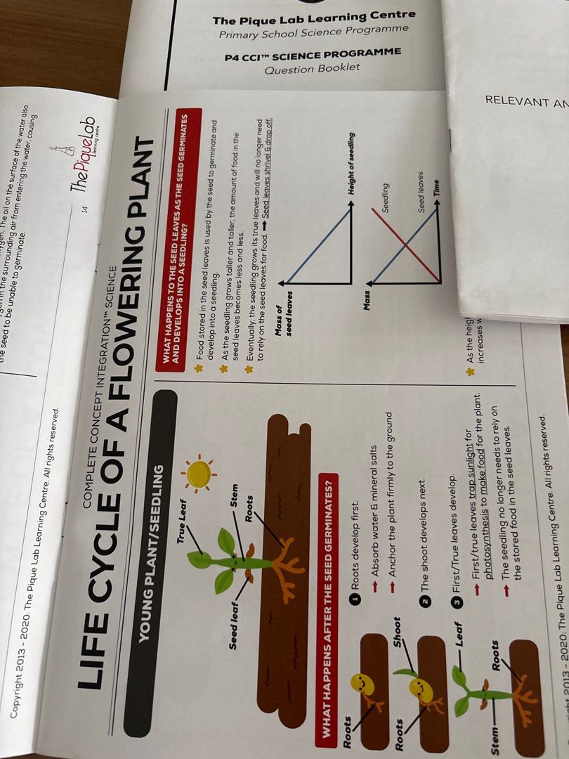 The Pique Lab Primary 4 Science Workbooks, Hobbies & Toys, Books ...